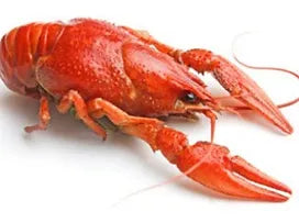 Crawfish Étoufée – Hooked on Fish