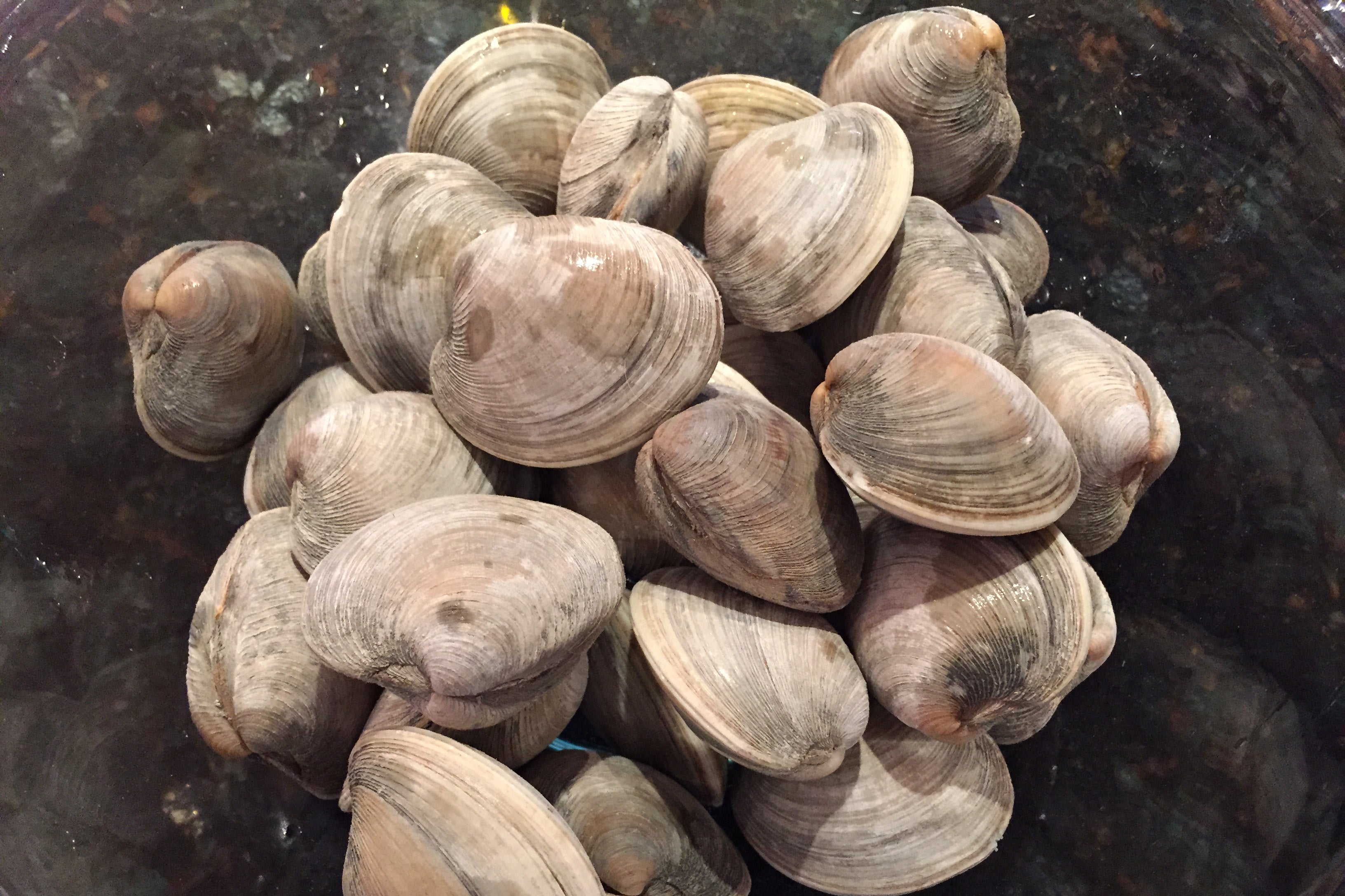 Steamed Littleneck Clams with Local Beer, Chorizo, and Parsley – Hooked ...