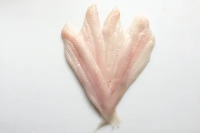 Pacific Sole Rolls With Salmoriglio Sauce – Hooked on Fish