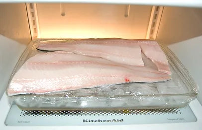 How To Store Fresh Fish: Handling Your Fish – Hooked on Fish